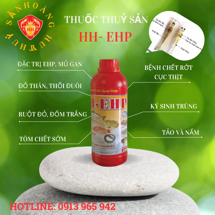 Bệnh EHP trên tôm là gì? - Cách điều trị EHP là gì? - Hoàng Huy Bến Tre